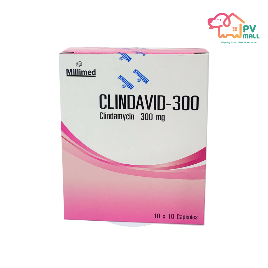 Clindamycin phosphate 300 mg
